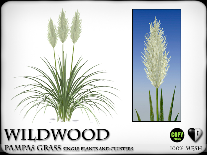 Second Life Marketplace - Wild Grasses - Pampas Grass